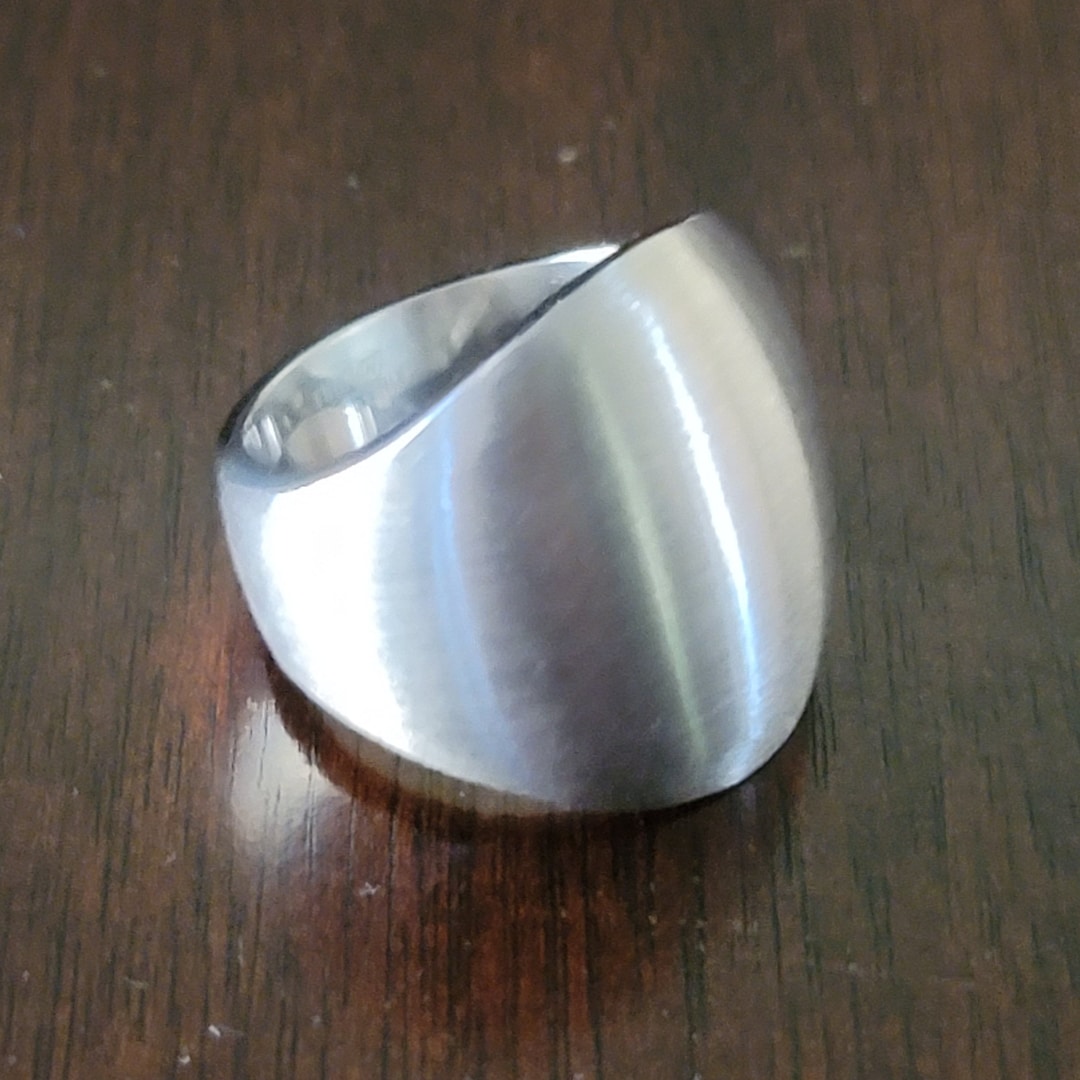 Large Modernist Unisex Stainless Steel Saddle Shield Ring Size 9 ...