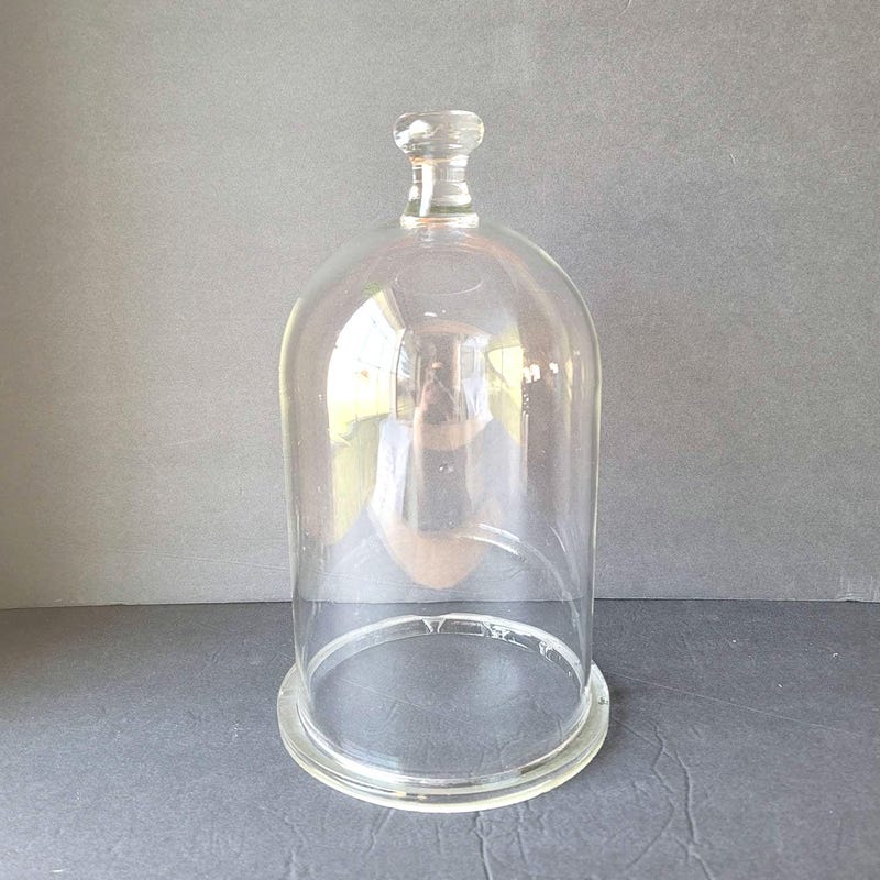 Vintage Bell Jars - Etsy