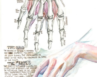 Vintage Medical Illustration Wound Man Antique