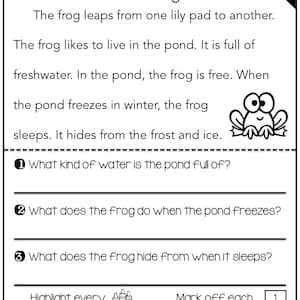 Phonics Fluency Reading Comprehension Passages and Questions • Blends ...