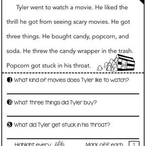 Phonics Fluency Reading Comprehension Passages and Questions ...