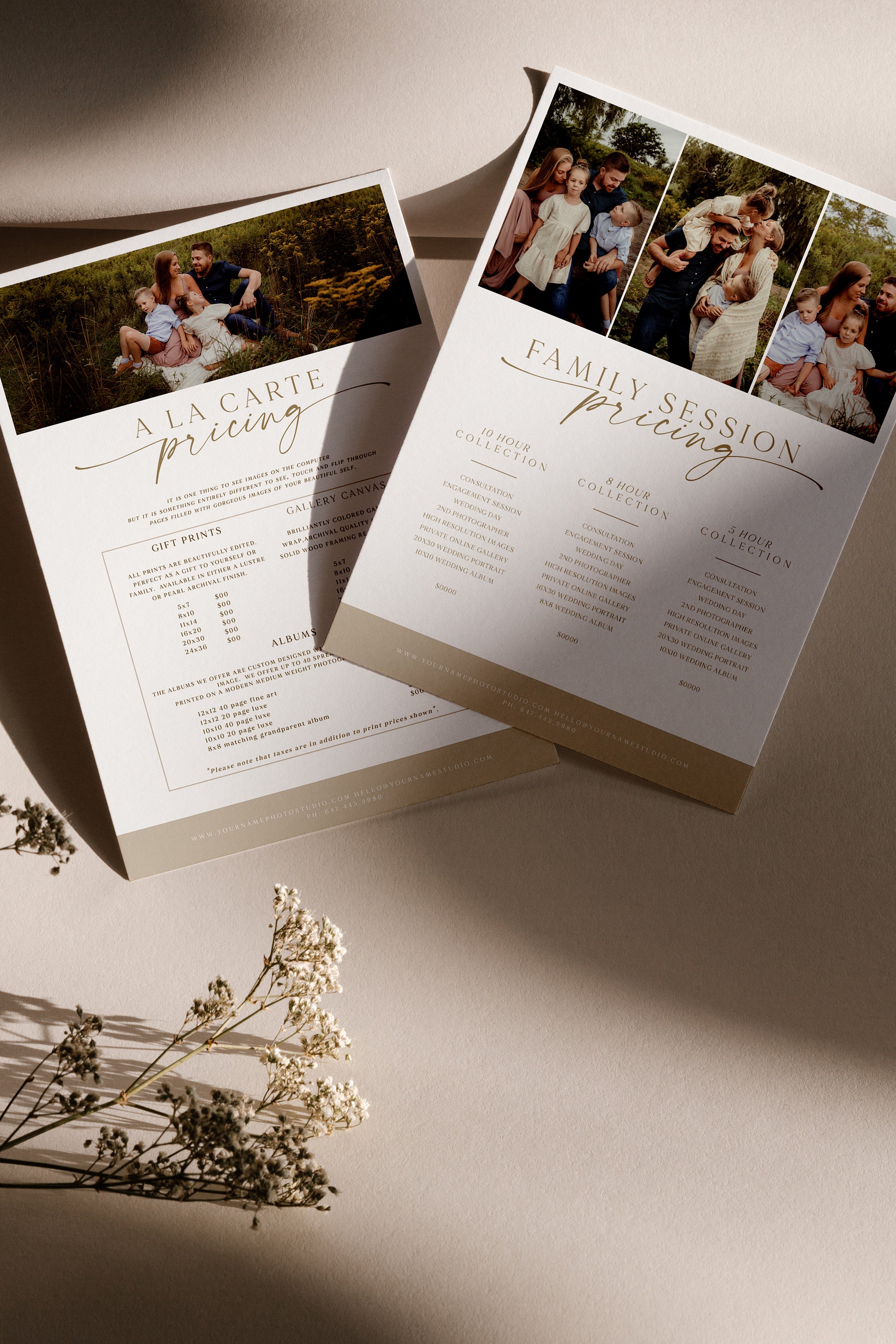 3pg Family Photography Pricing Template Session Price Guide - Etsy