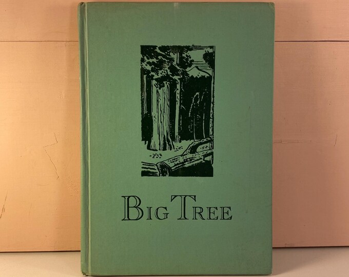 1946 Big Tree Book, Large Illustrated Hardcover Children’s Book by Mary ...