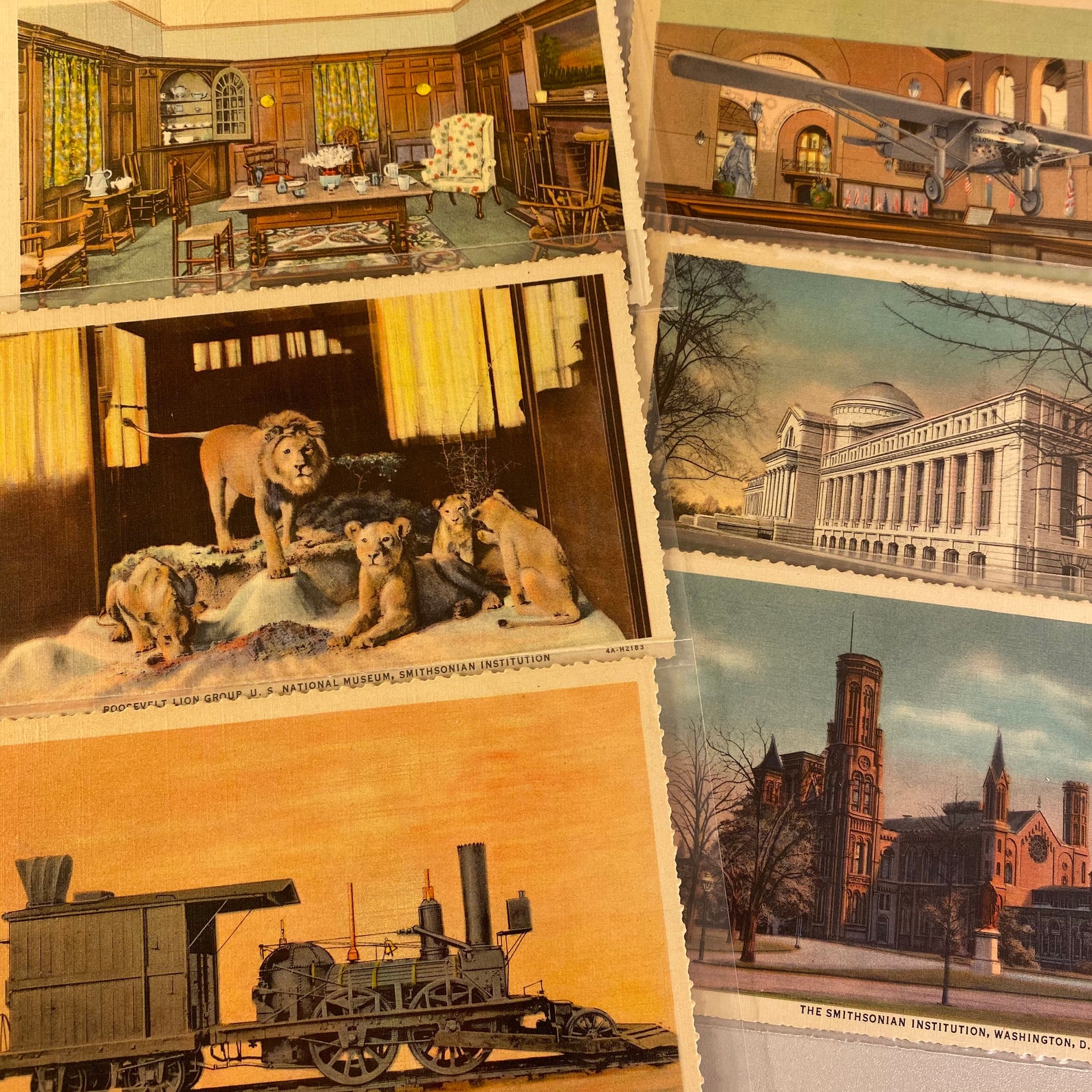 10 Smithsonian Institution Postcards Old Souvenir Post Cards - Etsy