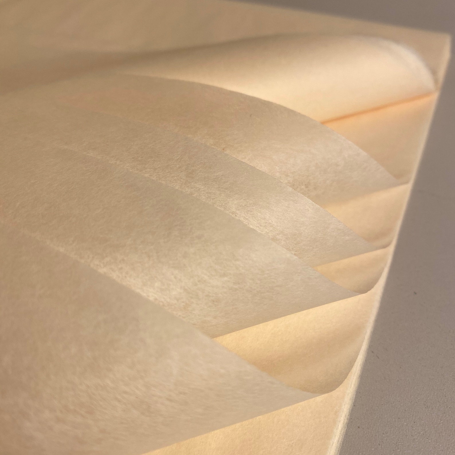 Made in USA Tissue Paper French Vanilla 24 sheets 20 x 30 | Etsy