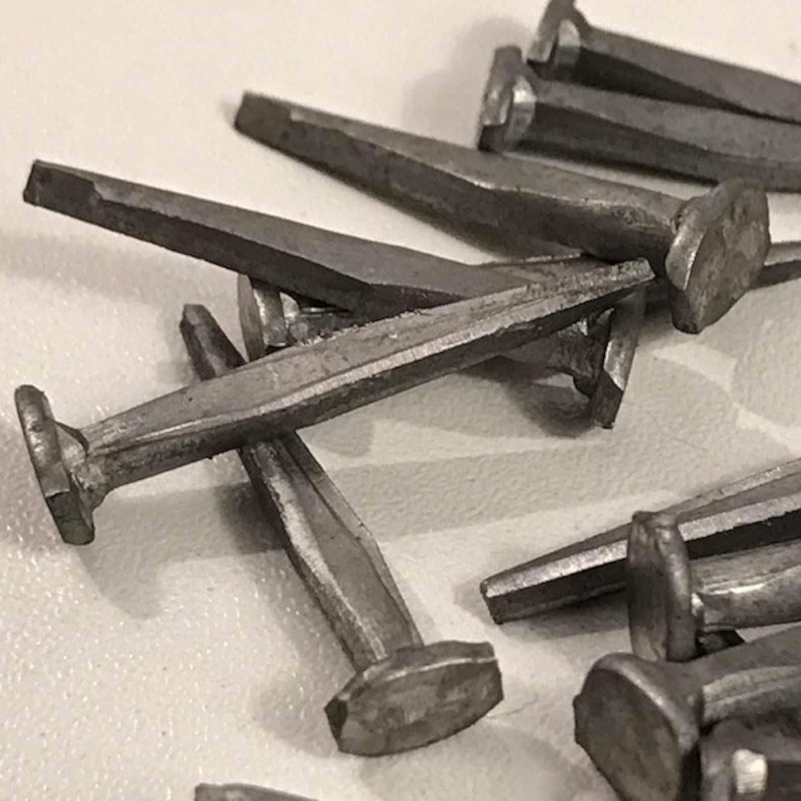 Qty 50 1 Clout Steel Cut Nails 1 Inch Nails Set of | Etsy