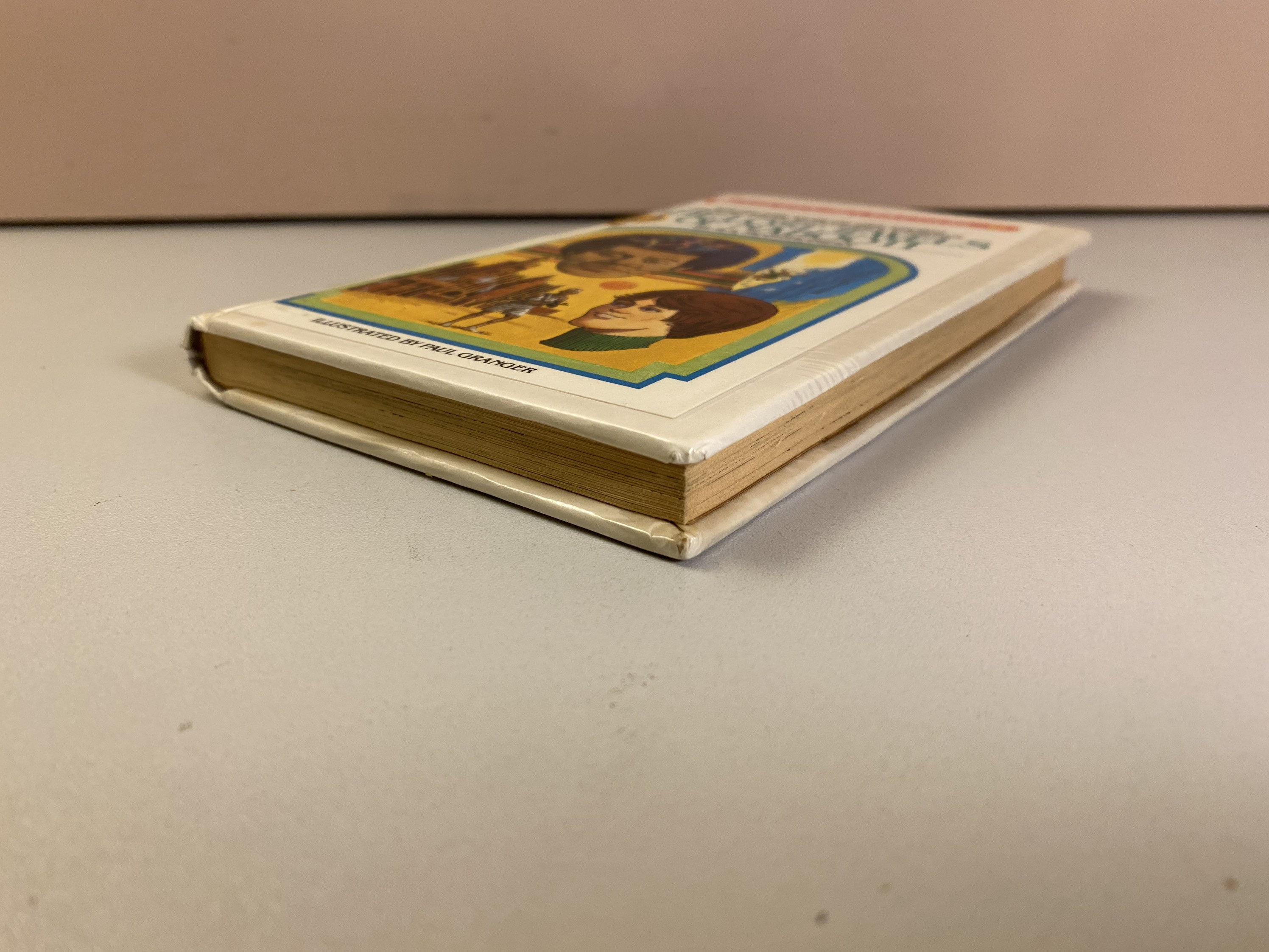 1981 the Lost Jewels of Nabooti #10, Hardcover Choose Your Own ...