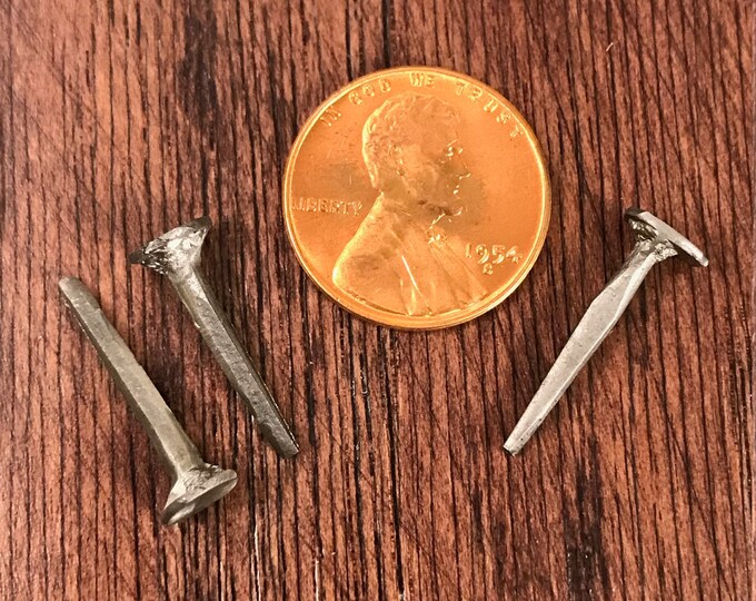 Qty 60 3/4 Clout Steel Cut Nails 3/4 Inch Nails Set - Etsy