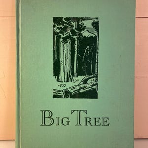 1946 Big Tree Book, Large Illustrated Hardcover Children’s Book by Mary ...