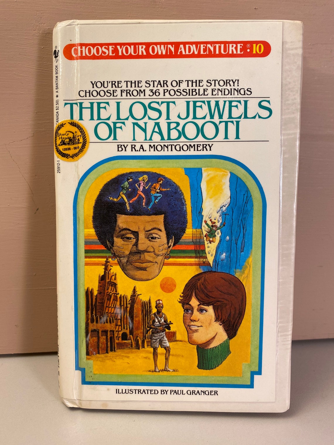 1981 the Lost Jewels of Nabooti 10 Hardcover Choose Your Own - Etsy