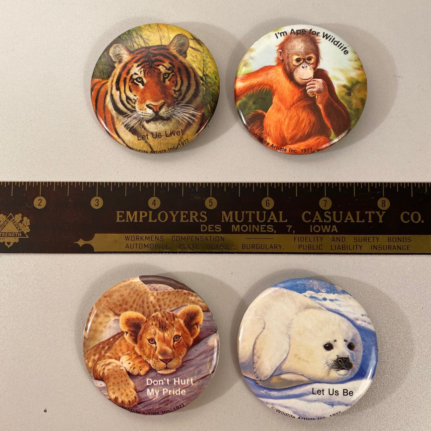 1977 Wildlife Artists Inc Pinback Buttons Vintage 70s Wild | Etsy