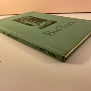 1946 Big Tree Book, Large Illustrated Hardcover Children’s Book by Mary ...