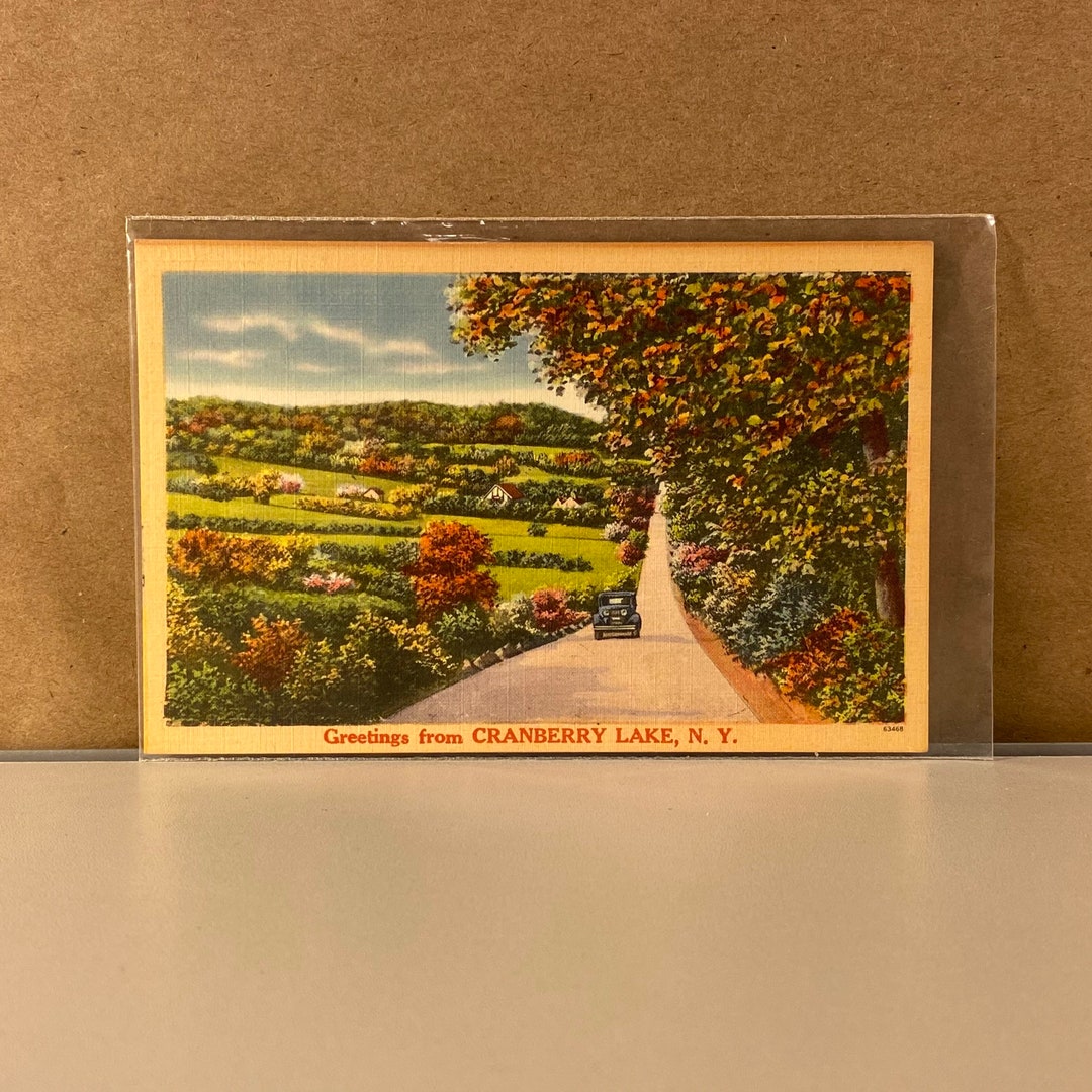 112 Old New York State Postcards, Souvenir Post Cards, 1930s - 1970s ...