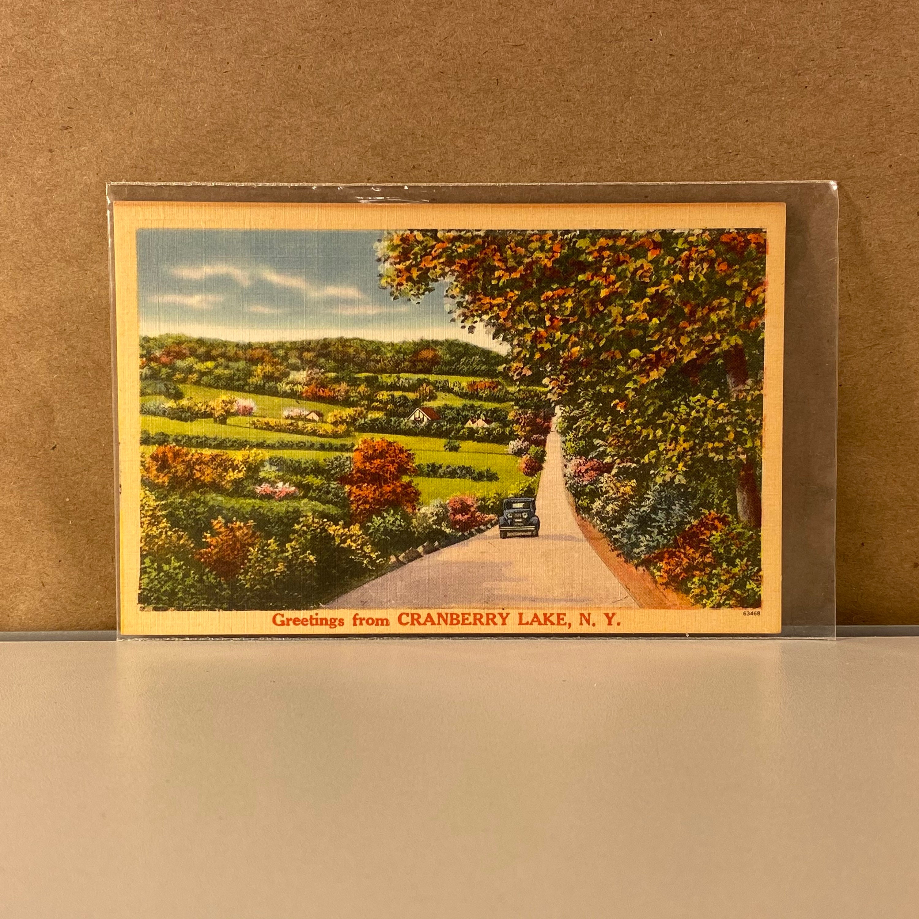 112 Old New York State Postcards Souvenir Post Cards 1930s - Etsy