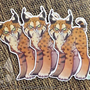 Bobcat Clear Vinyl Sticker - Etsy