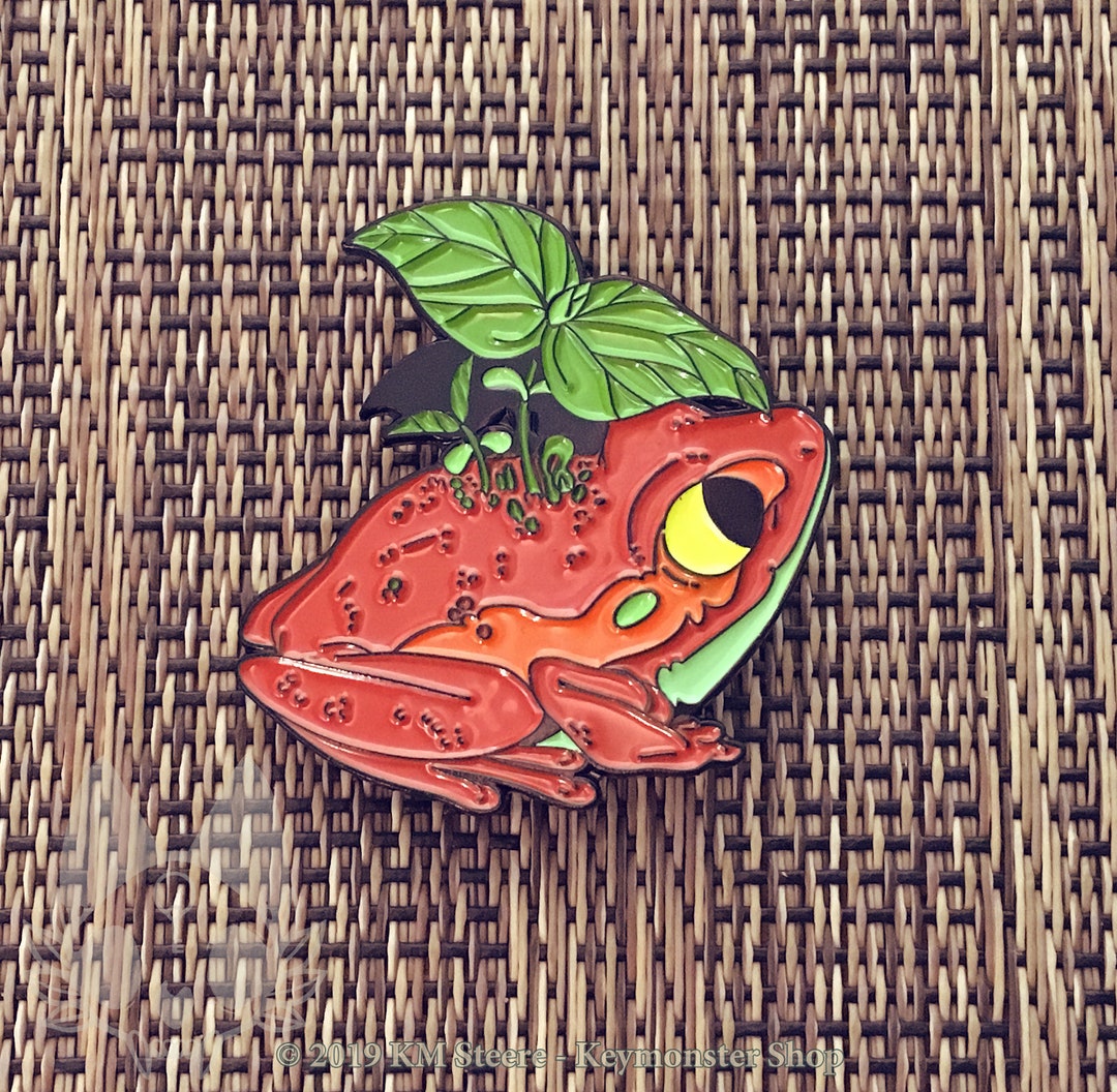 Sprouts - Bean the Frog Enamel Pin B Grade *last Chance* - Etsy
