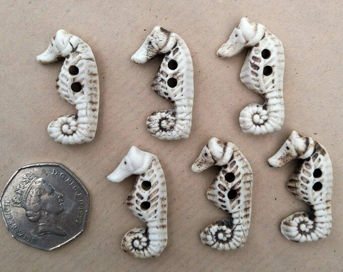 Sea Life Buttons. Handmade Porcelain Sea Life Buttons. Sea Horse Design ...