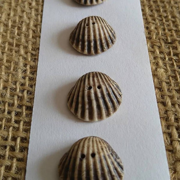 Porcelain Shell - Etsy UK