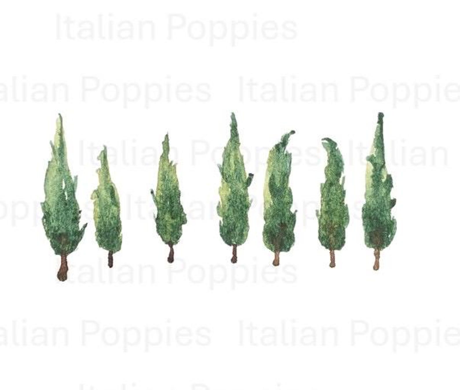 Cypress Trees Clipart, PNG Instant Download File, Printable Art - Etsy