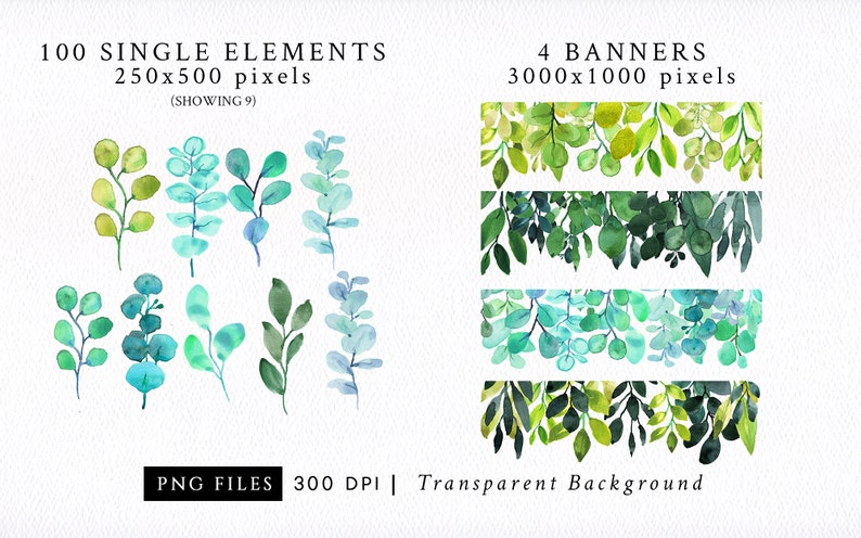 Greenery Set/eucalyptus/frames/clipart/digital/watercolor/leaves/leaf ...