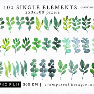 Greenery Set/eucalyptus/frames/clipart/digital/watercolor/leaves/leaf ...