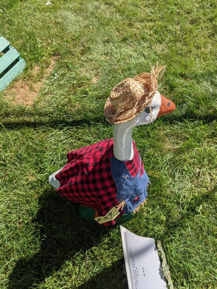Fall Farmer Overalls Lawn Goose Clothing Costume With Straw | Etsy