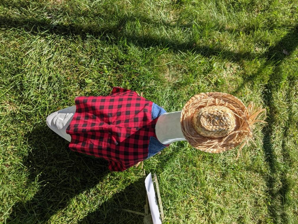 Fall Farmer Overalls Lawn Goose Clothing Costume With Straw | Etsy