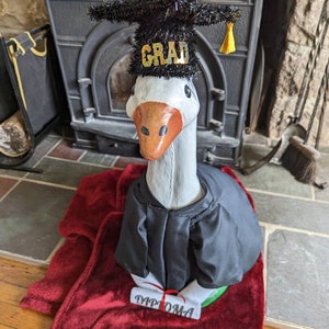Porch Goose (23-27") Graduation Outfit With Diploma in Hand. - Etsy