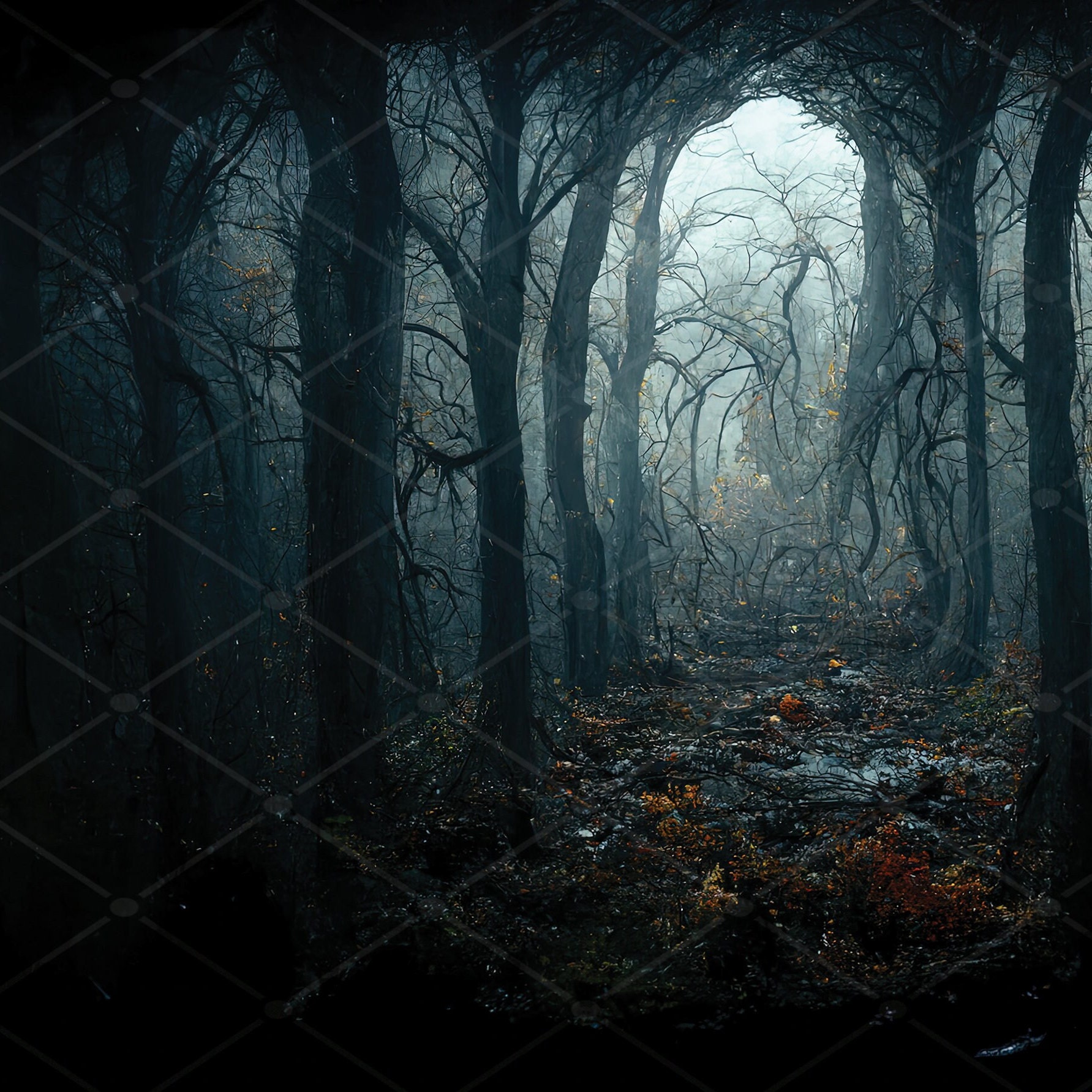 Scary Dark Forest Wallpaper