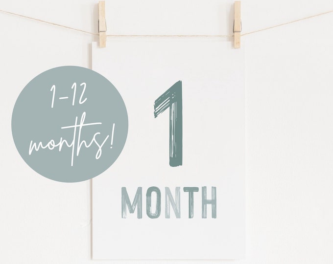 DIGITAL DOWNLOAD Monthly Milestone Cards Blue Printable Monthly ...