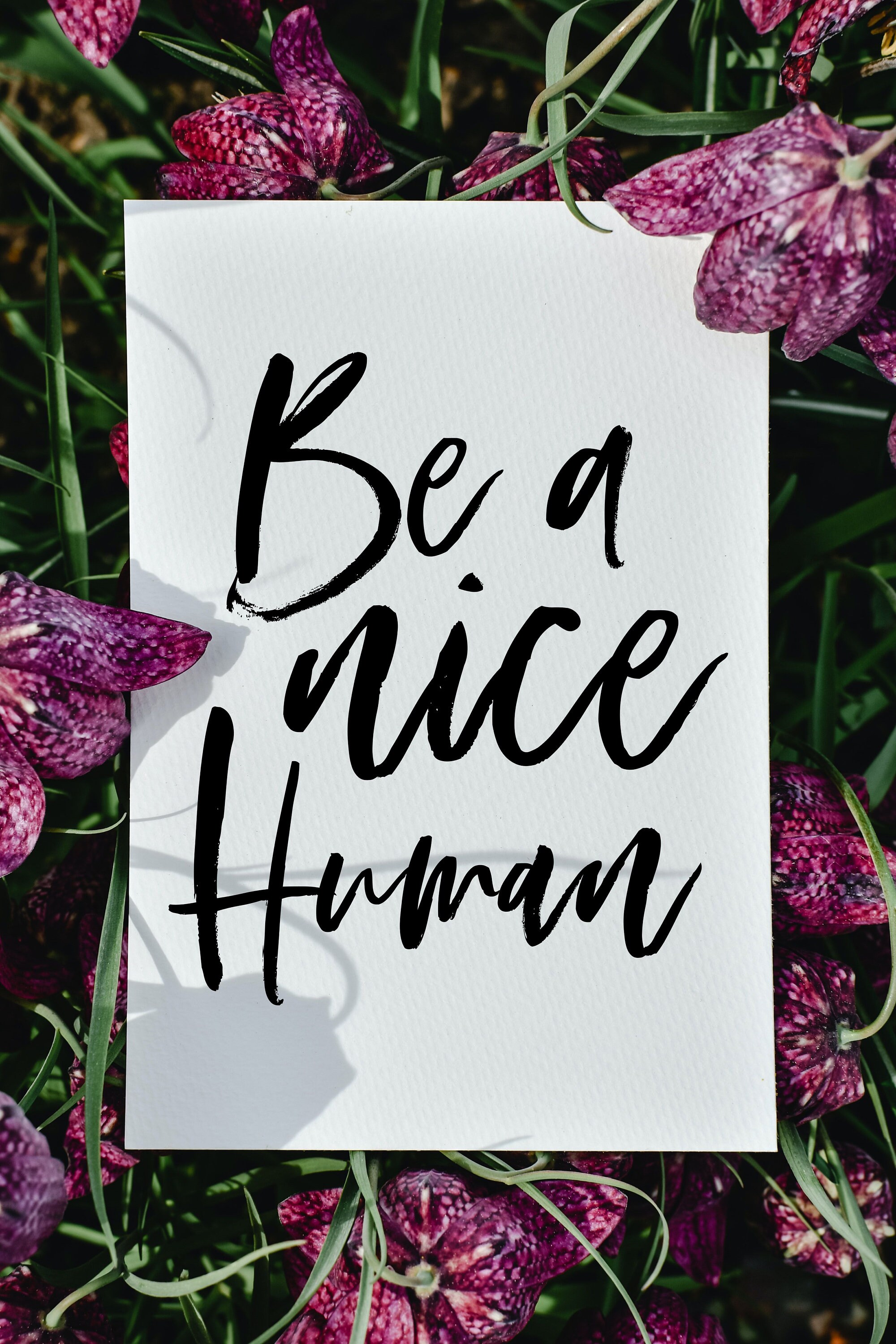 DIGITAL DOWNLOAD Be A Nice Human Sign Inspirational Wall Art | Etsy