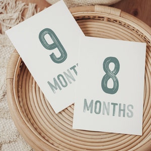 DIGITAL DOWNLOAD Monthly Milestone Cards Blue Printable Monthly ...