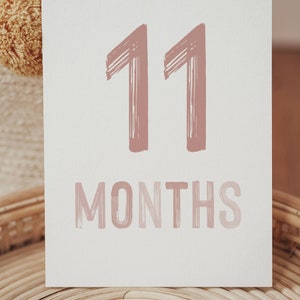 DIGITAL DOWNLOAD Monthly Milestone Cards Pink Printable Monthly ...