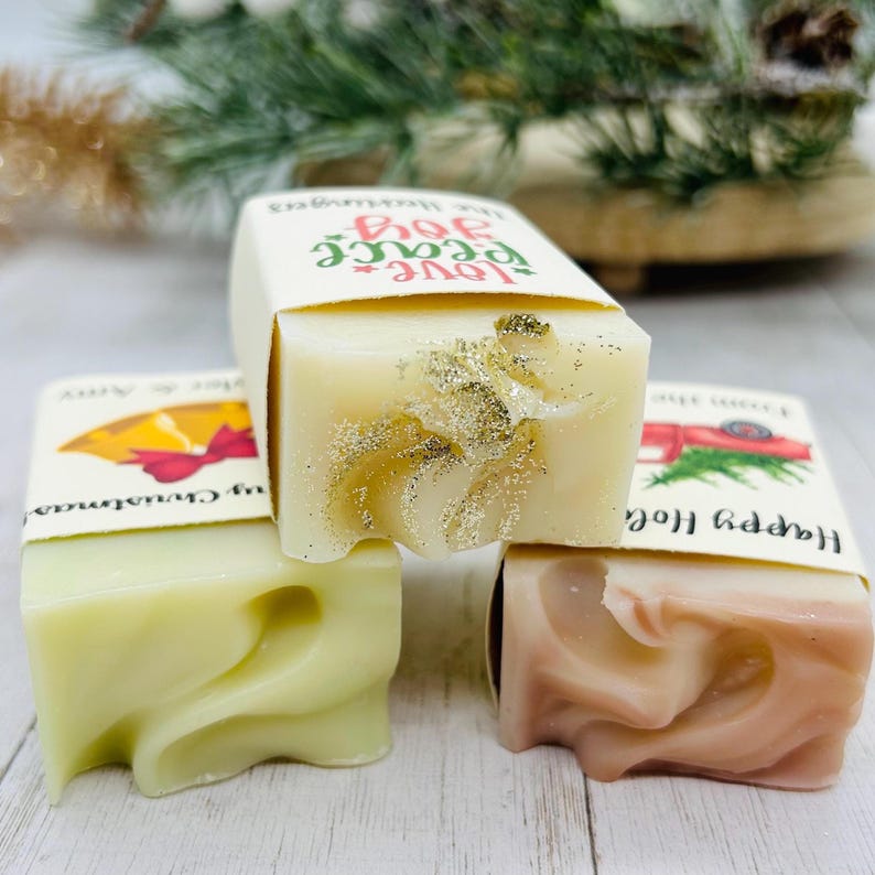 Christmas Party Favors: Holiday Soap Gifts for Guests, Coworkers ...