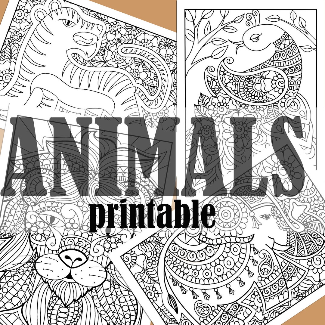 Printable Download - ANIMAL Coloring Pages, Peacock, Tiger, Elephant ...