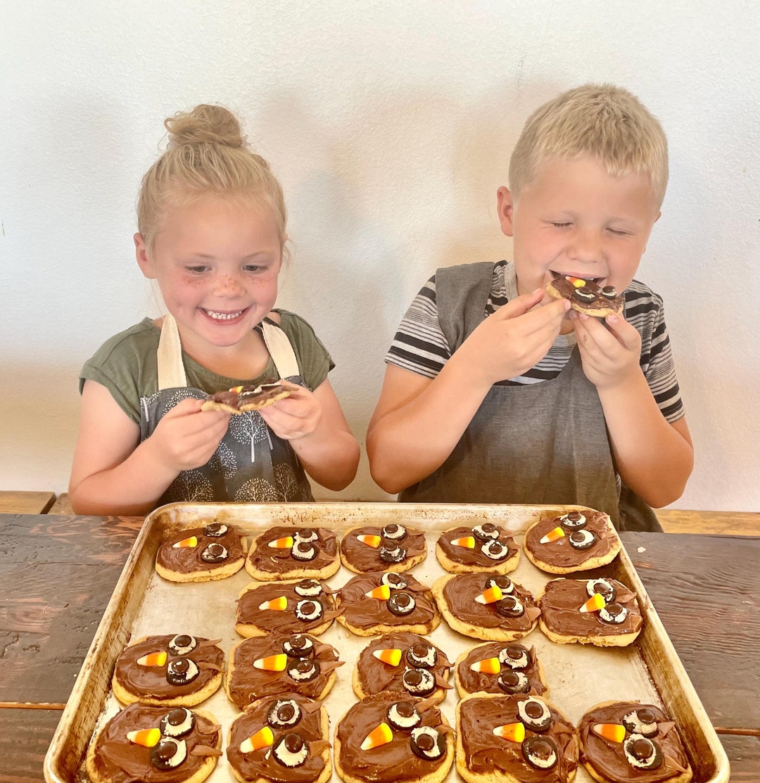 Harry Potter Hedwig Owl Cookies / Cooking Kit / DIY Edible Gift Set ...