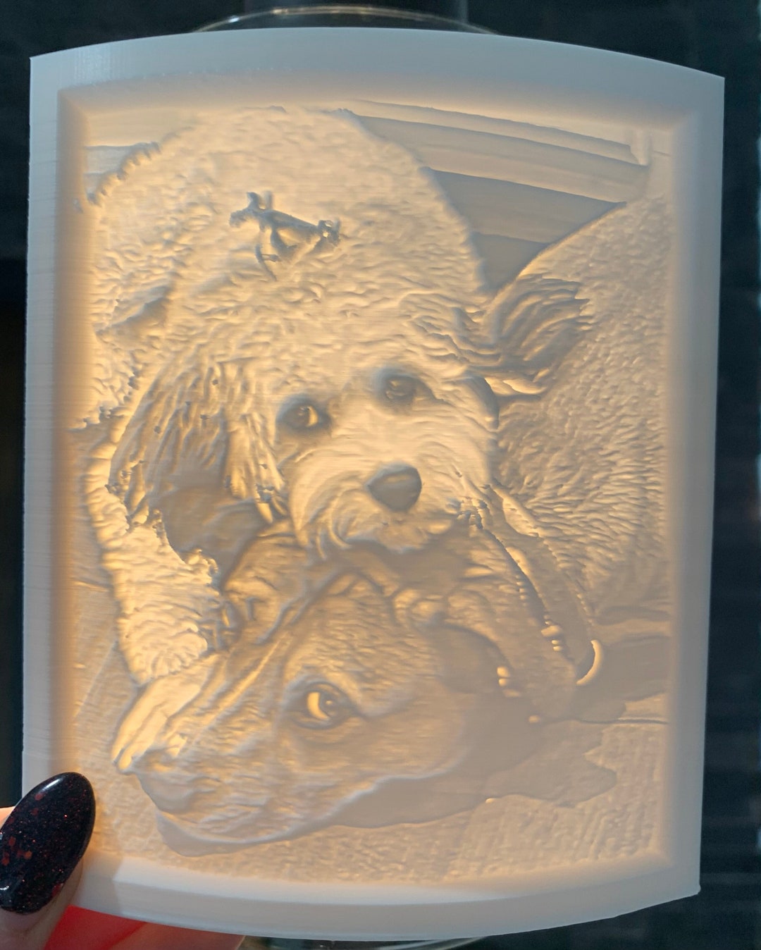 Custom 3D Printed Lithophane - Etsy