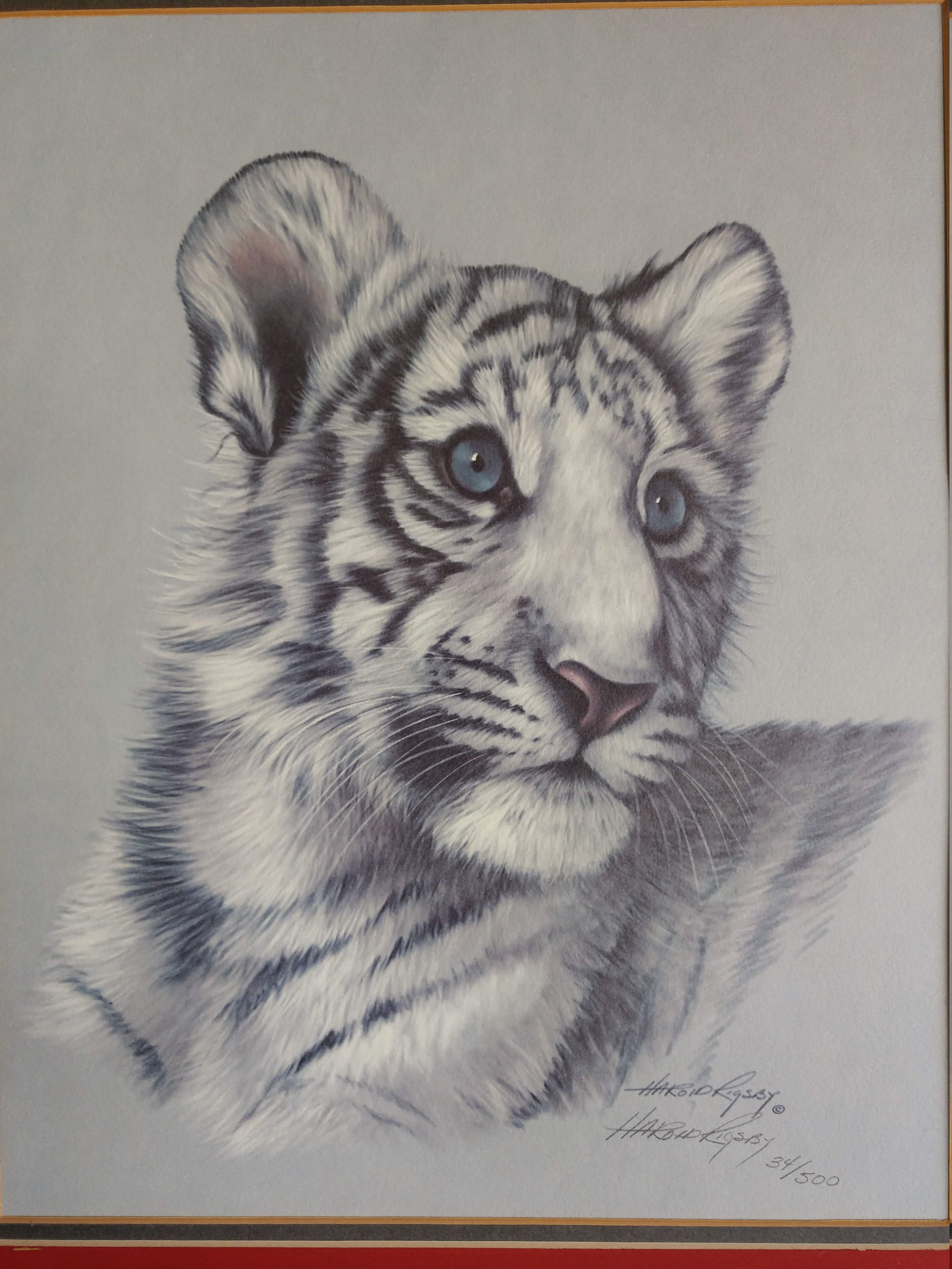 Set of Two Limited Edition TIGER Prints by Harold Rigsby 34/500 - Etsy