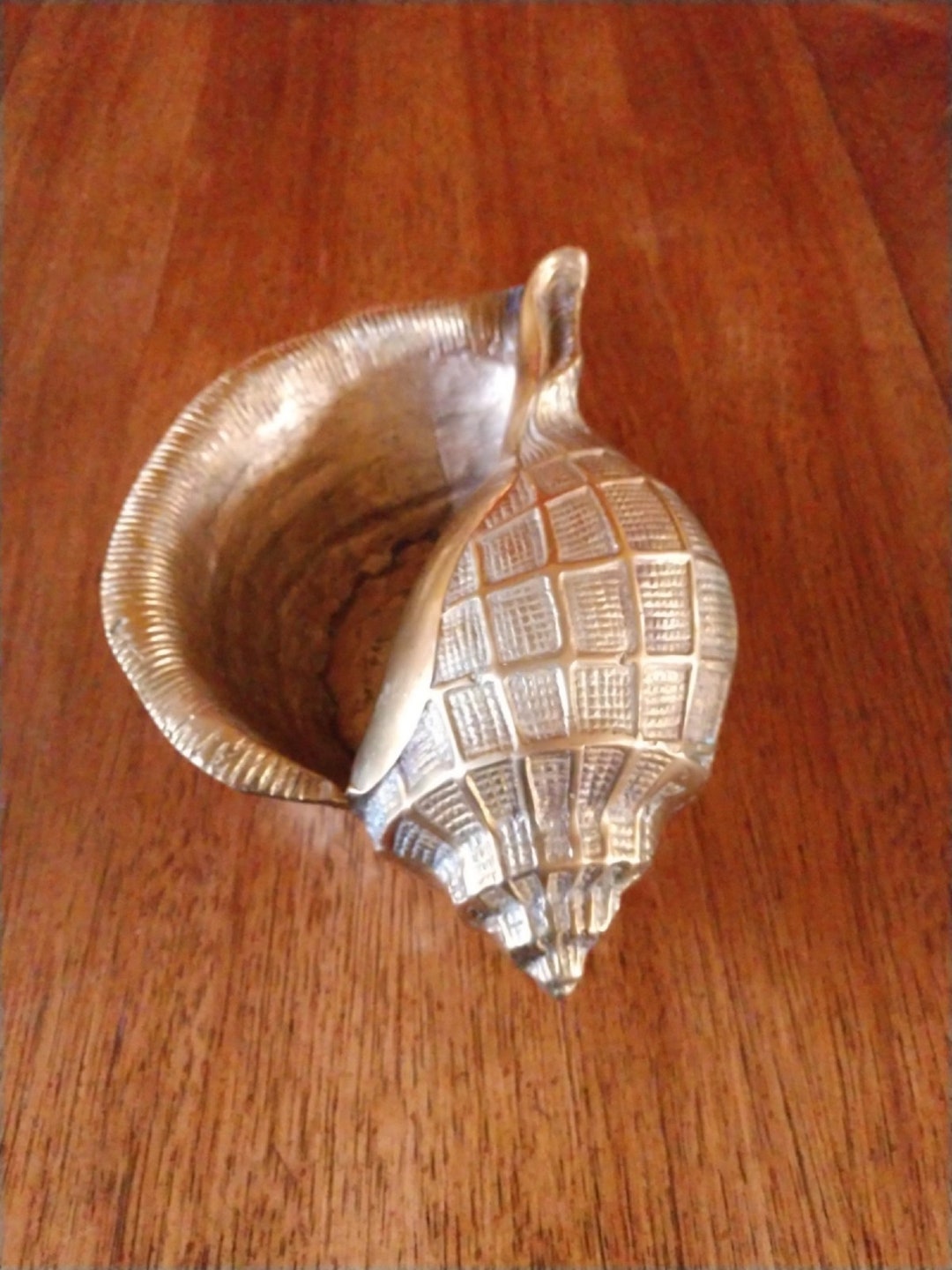 Brass Conch Sea Shell Dish/catch All, Ashtray, Change Dish, Floral ...