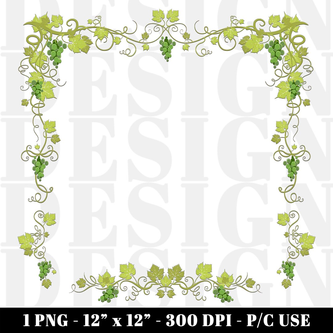 Grapevine PNG, Grapevine Border PNG, Vine Border PNG, Grapevine Clipart ...