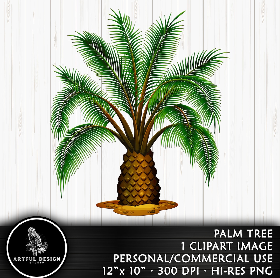 Palm Tree PNG, Palm Tree Clipart, Palm Tree Clip Art, Palm Tree ...