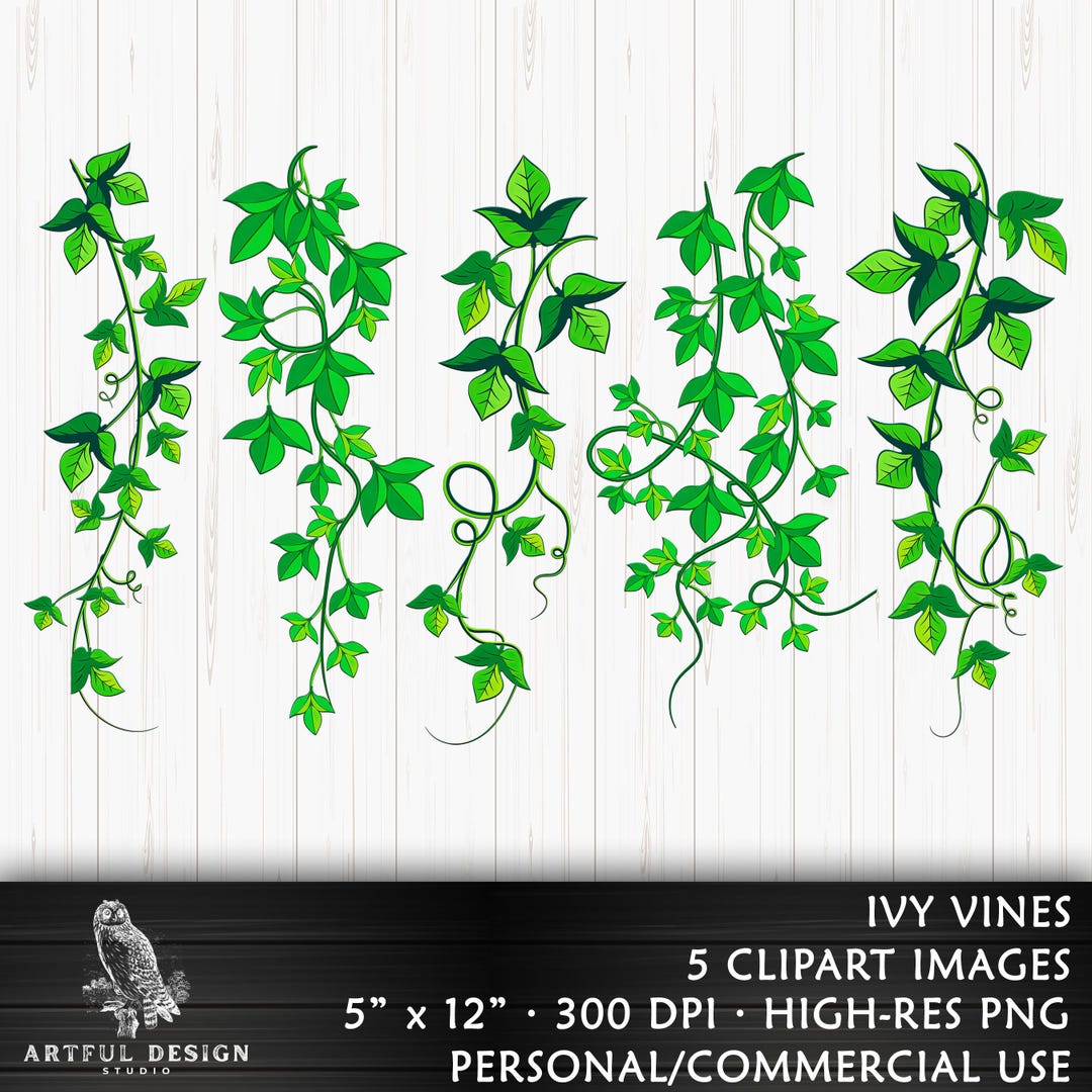 Digital Ivy Clipart, Ivy PNG, Ivy Clip Art, Ivy Image, Ivy Graphic ...