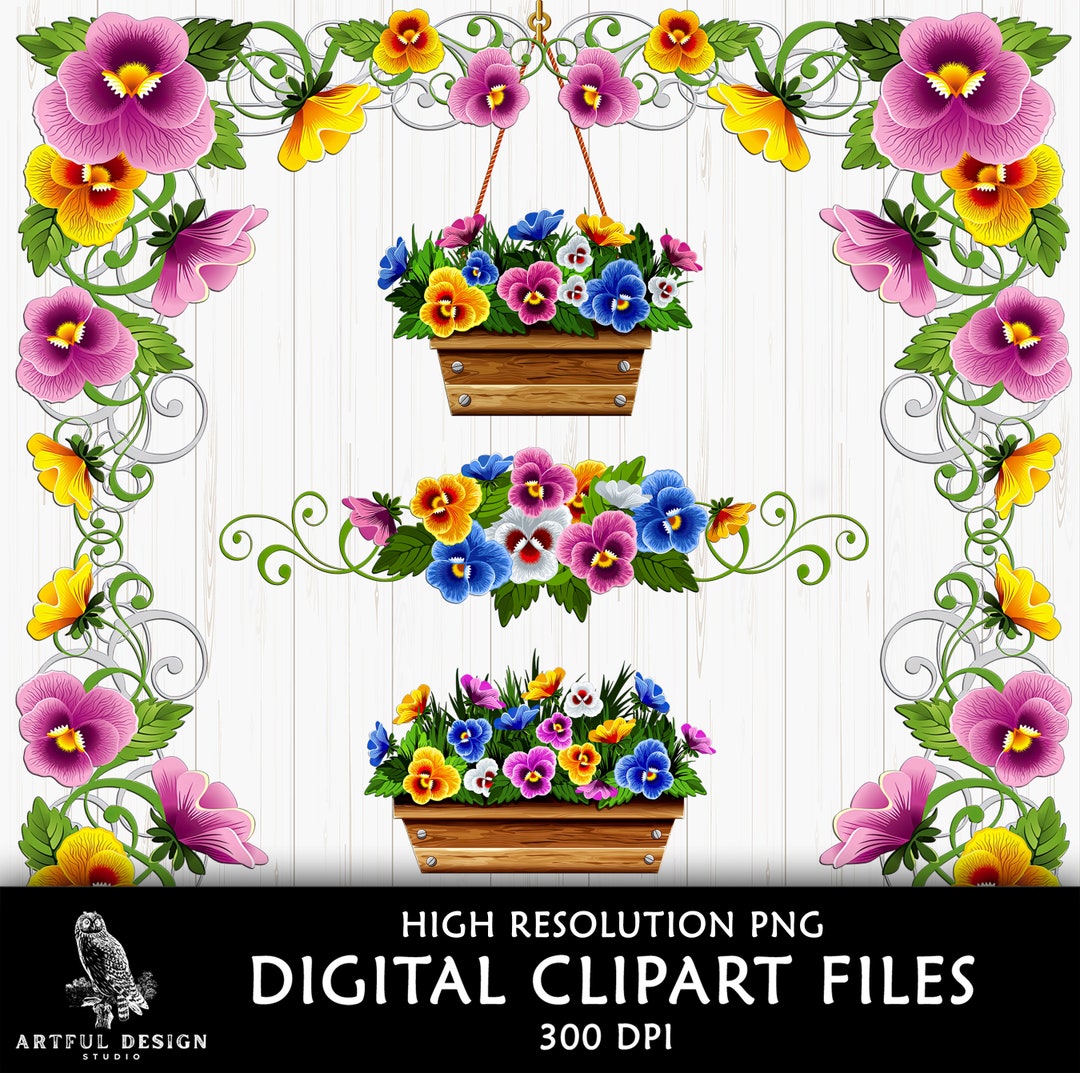 Pansy PNG Pansy Clipart Pansy Border PNG Pansy Flower PNG - Etsy Australia