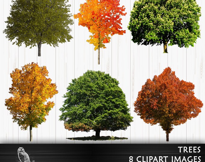 Clip Art Fall Tree, Autumn Tree Graphic, Tree With Orange Yellow Red ...