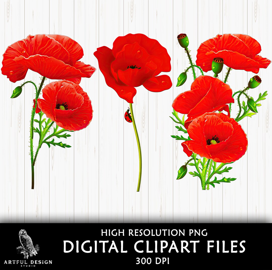 Poppy Png Red Poppy Flower Png Poppy Clipart Poppy Clip Etsy
