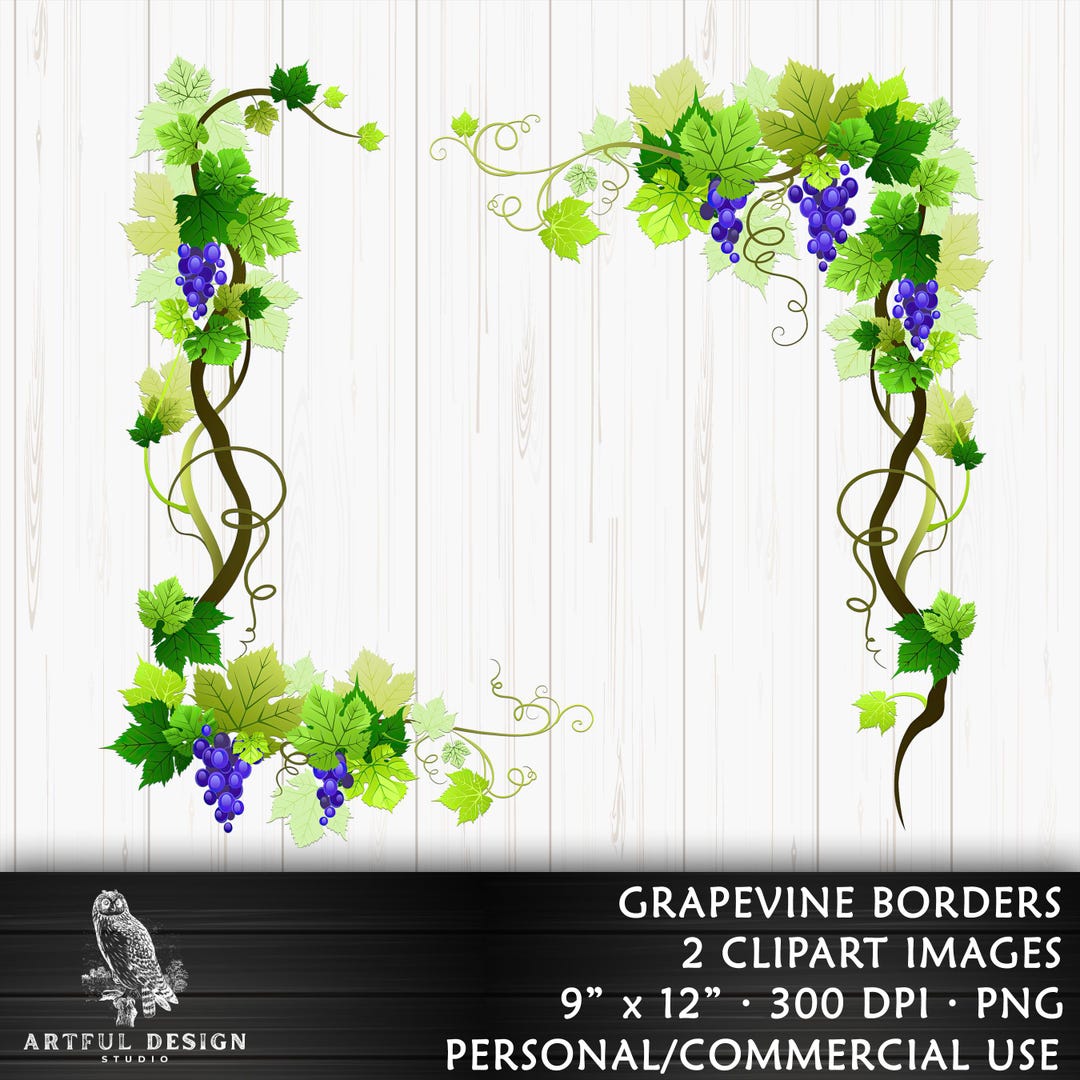 Grapevine Border Clipart - Grapevine Border PNG - Wine Planner ...
