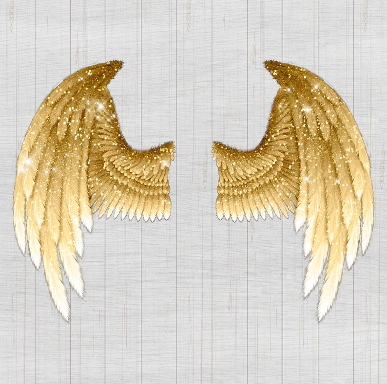 Angel Wing PNG Angel Wing Clipart Wing Sublimation Angel - Etsy