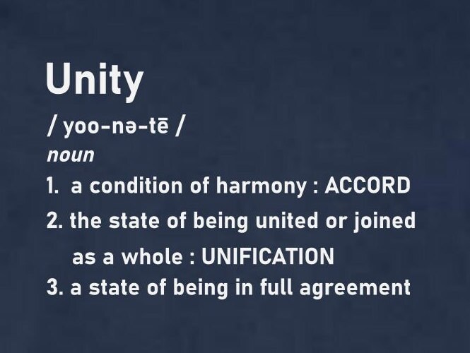 Unity Definition T-shirt, Definition Tshirt, Statement Tee, Dictionary ...