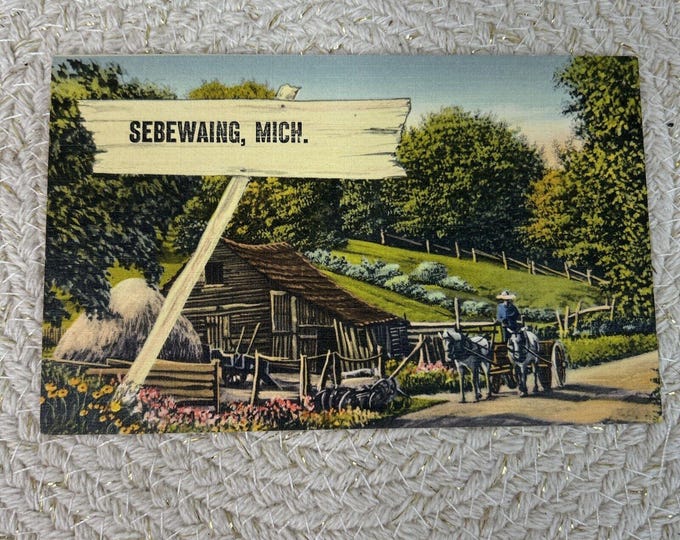 Antique Postcard Topographical Sebewaing Michigan Linen Farming - Etsy