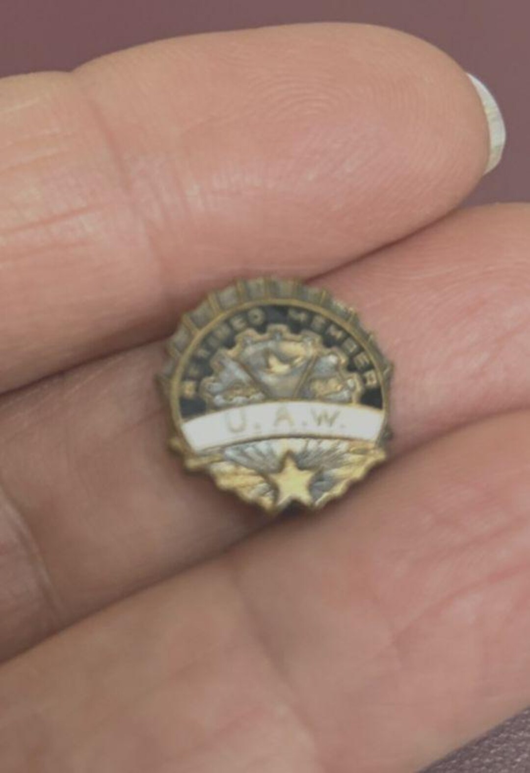 VTG UAW United Auto Workers Retired Member Bronze Union Lapel Pin - Etsy